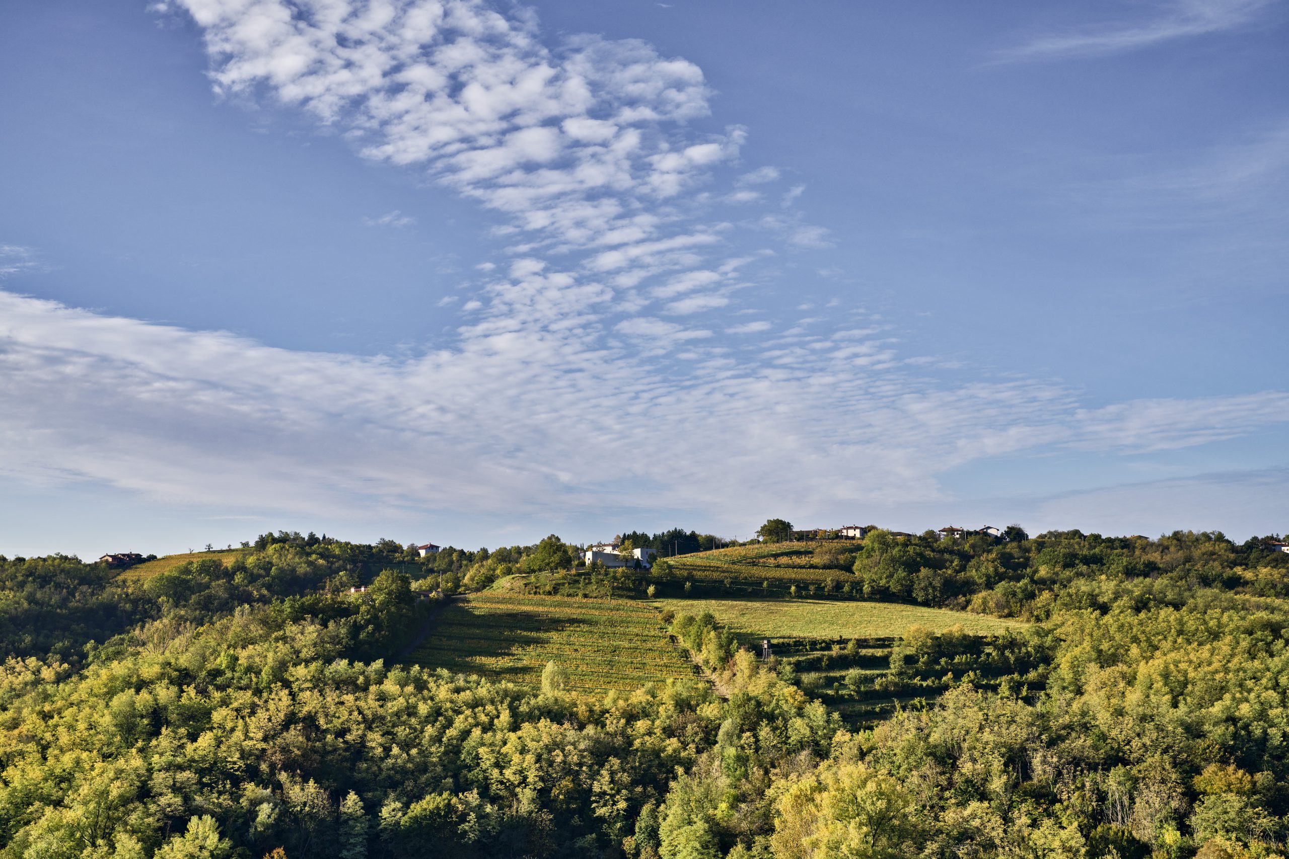 Collio winery - PRIMOSIC - Friuli Venezia Giulia (Oslavia - Gorizia)